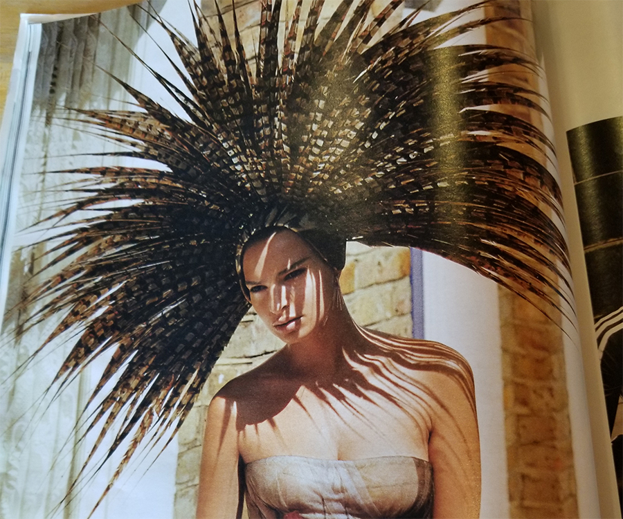 Reveries Upon A Headdress - James Patrick Riley