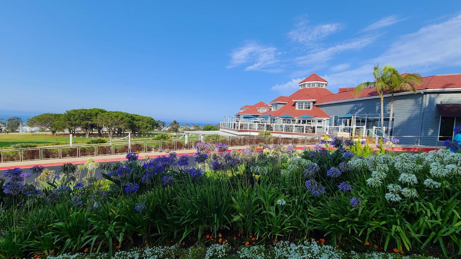 What The Hell Is Going On? - James Patrick Riley